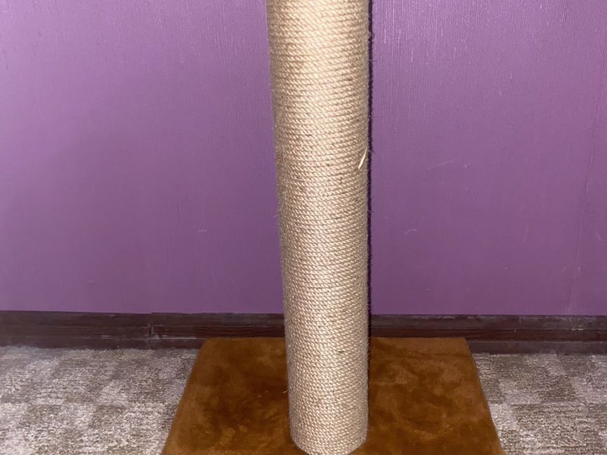 Когтеточка