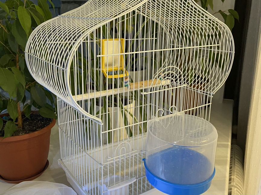 Клетка для попугая