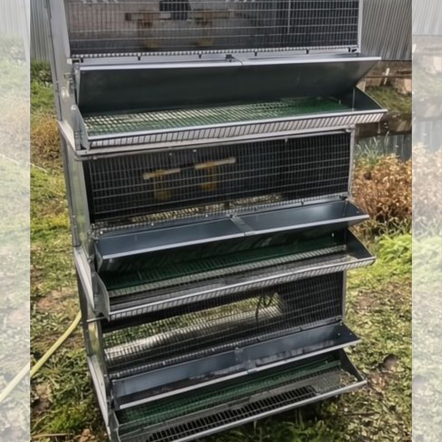 Клетки для перепелов и кур, брудер