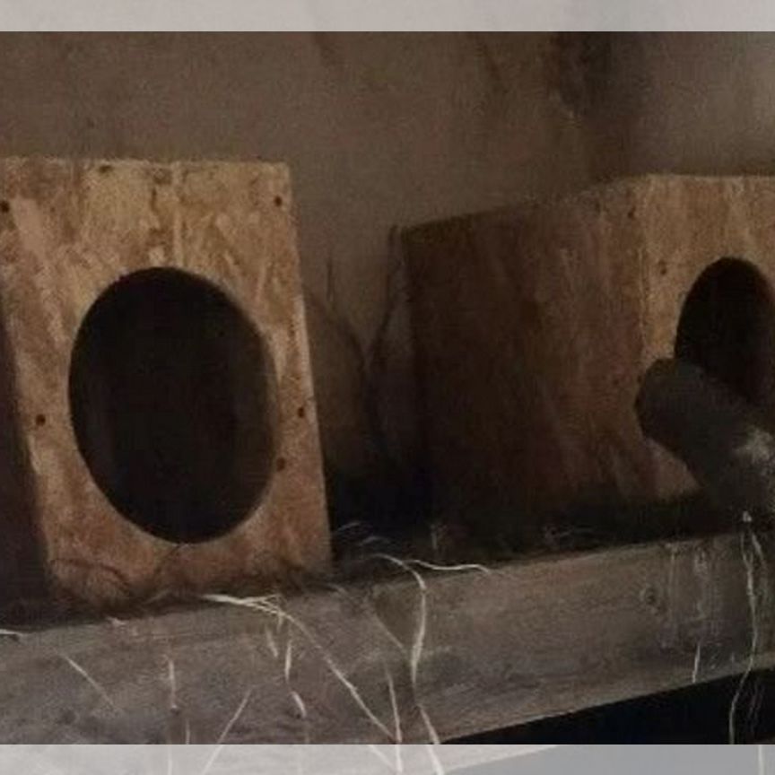 Гнездо для кур