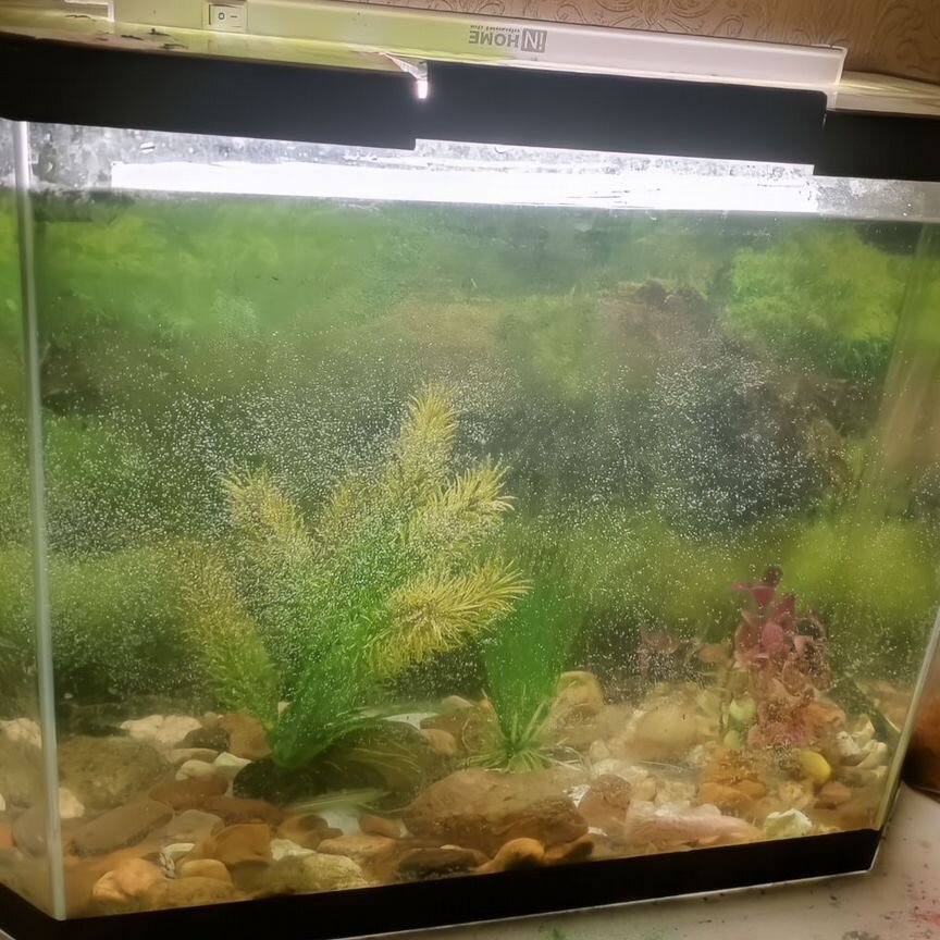 Продам аквариум с рыбками