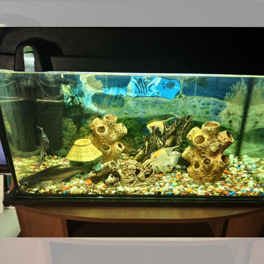 Аквариум 100 литров