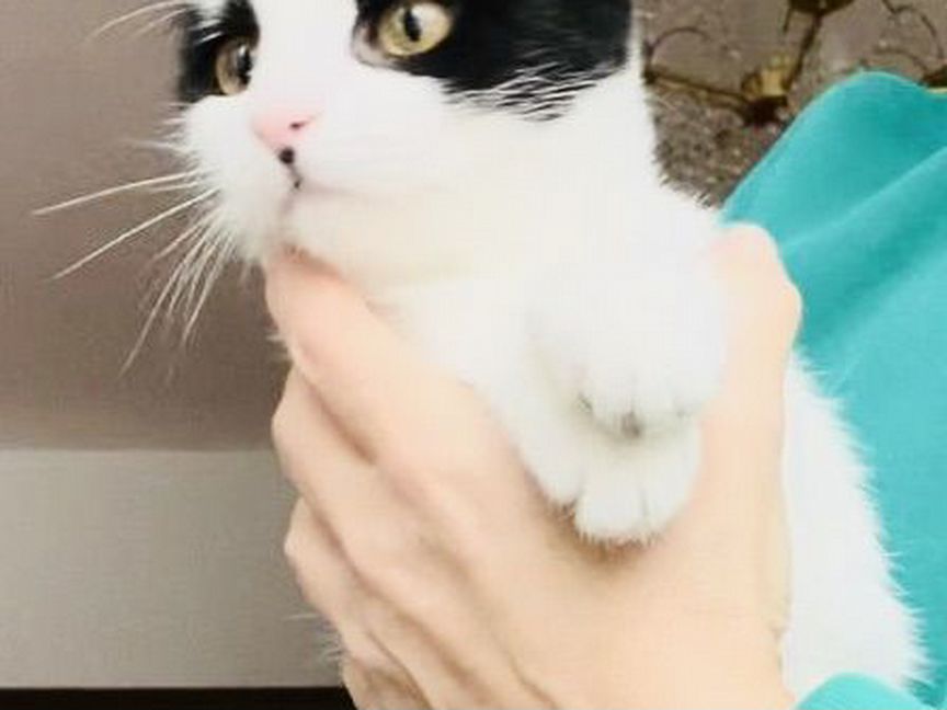 Милая малышка