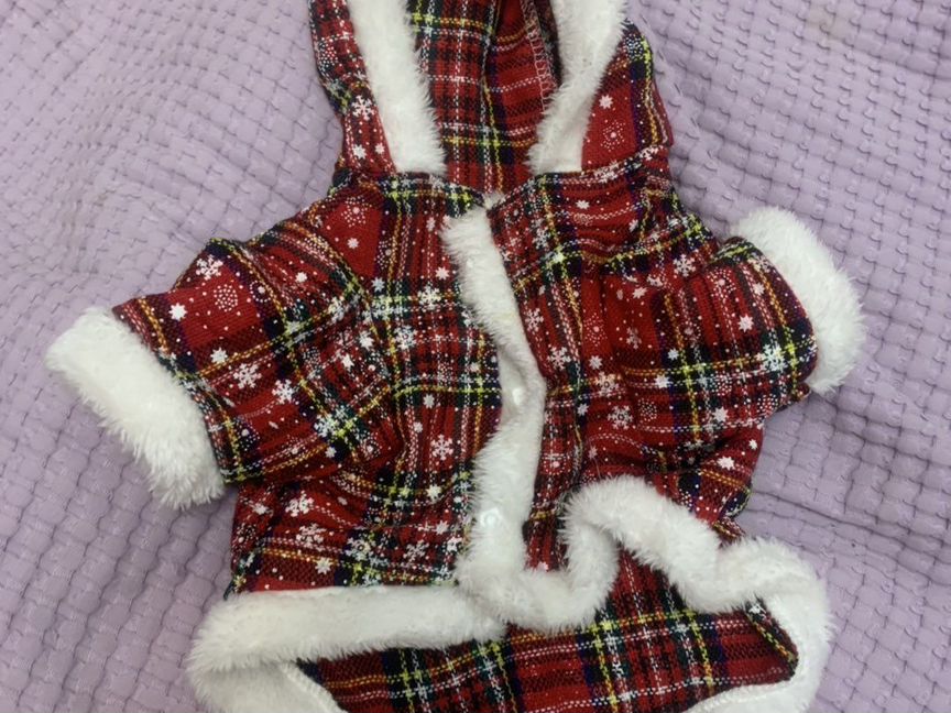 Новогодний наряд для собаки