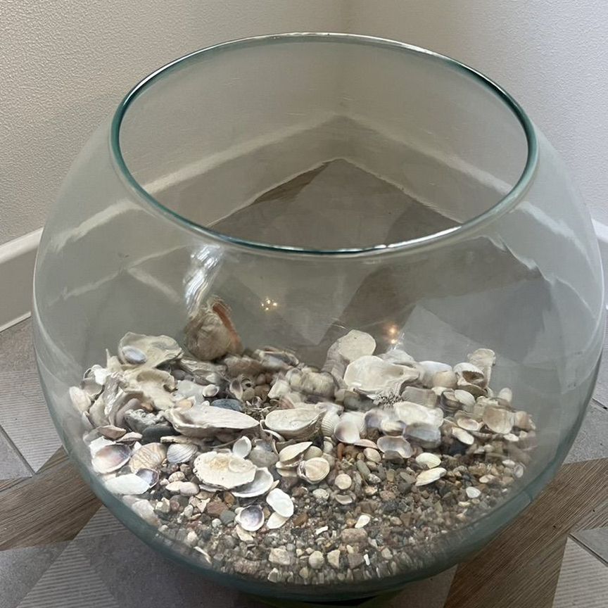 Аквариум шар уже с ракушками
