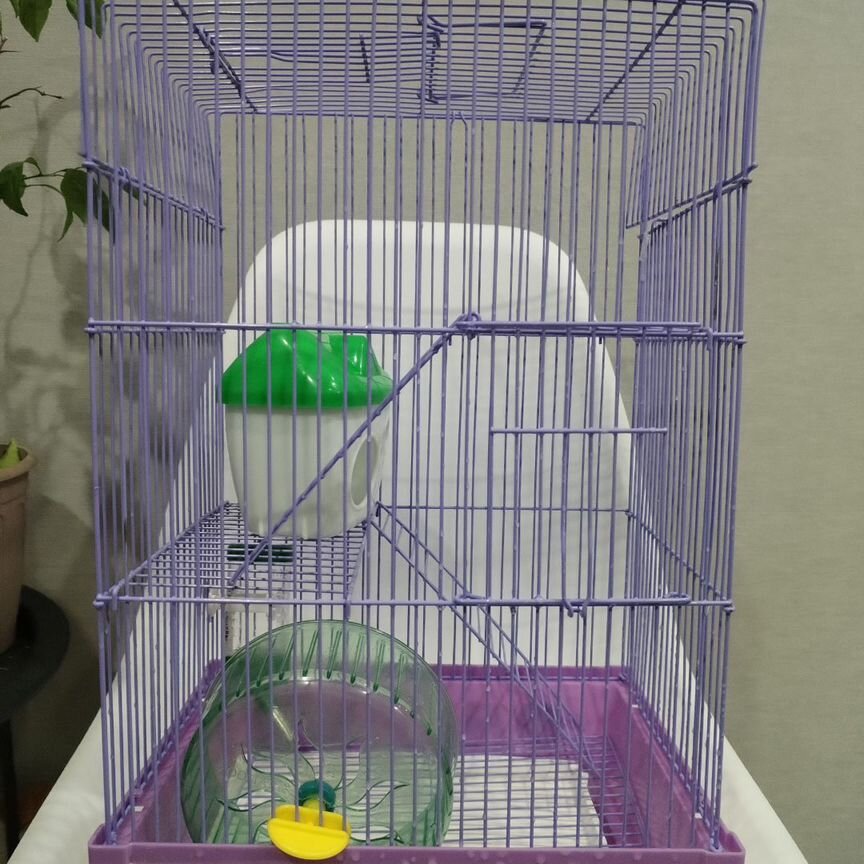 Клетка для грызунов бу