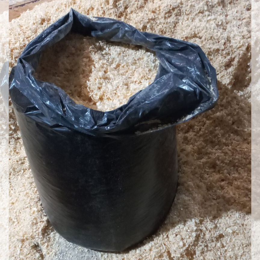 Стружка сухая хвоя