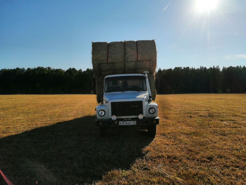 Сено в рулонах. (Цена договорная) укос 2023