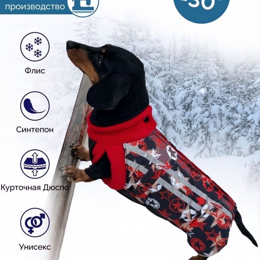 Одежда для собак