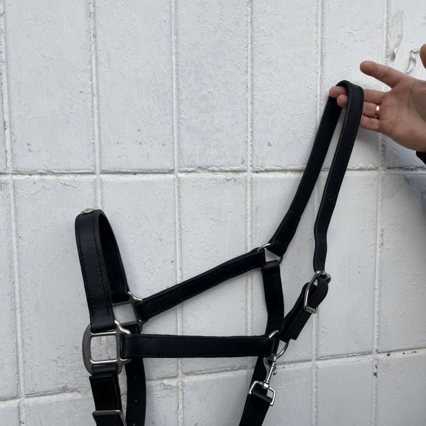 Недоуздок для лошади (натуральная кожа)