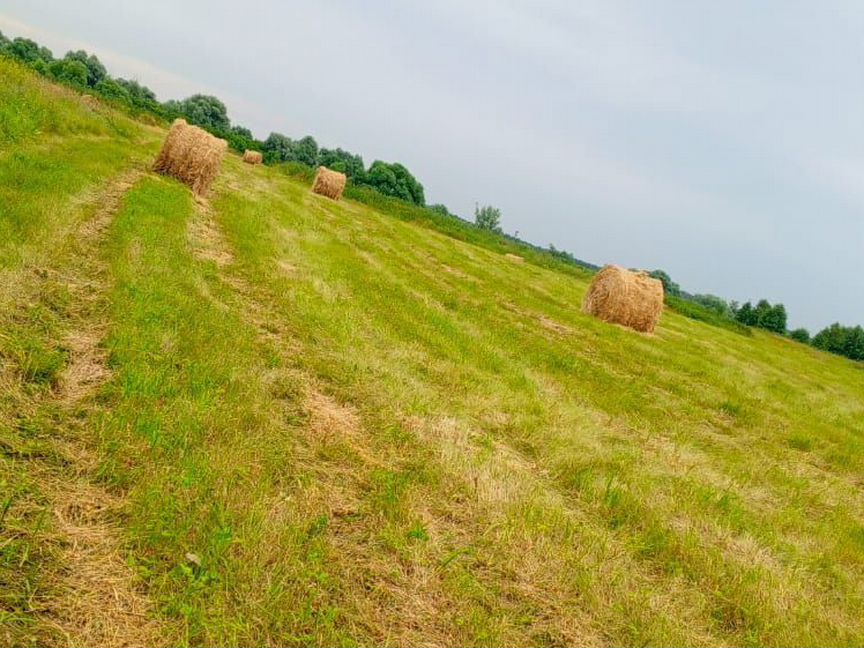 Сено луговое в рулонах