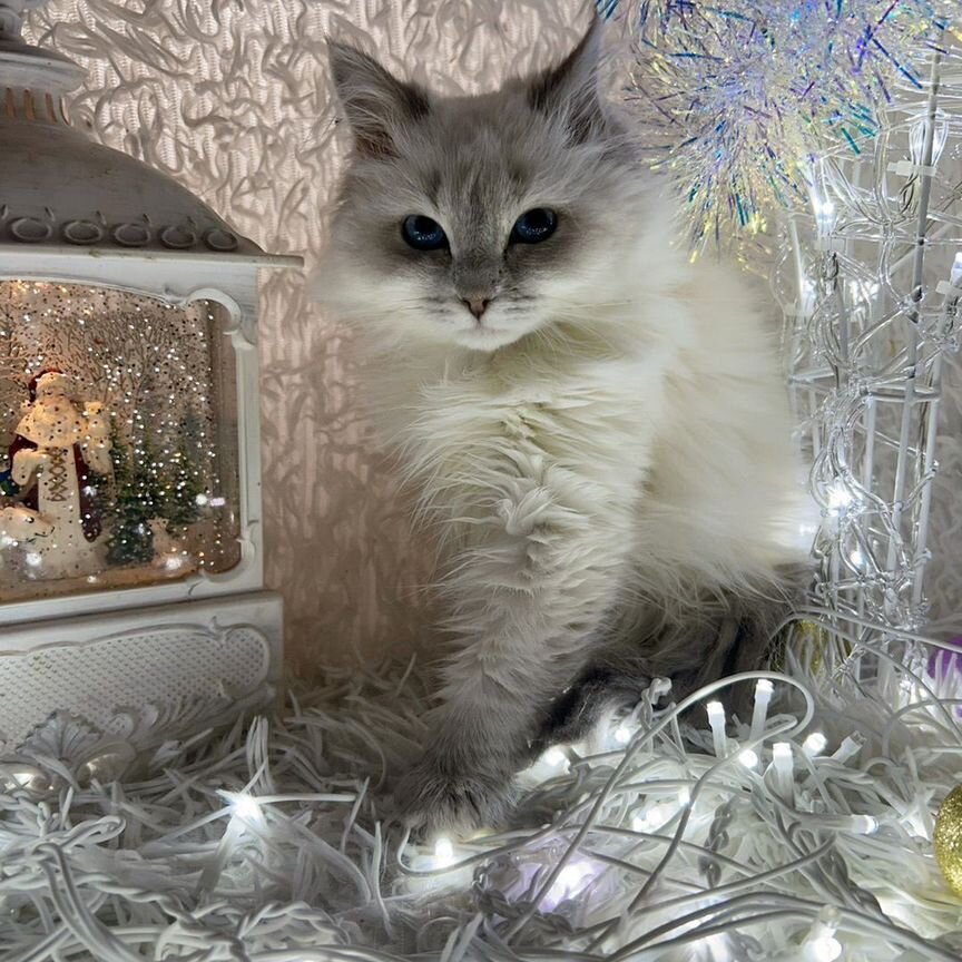 Невская маскарадная