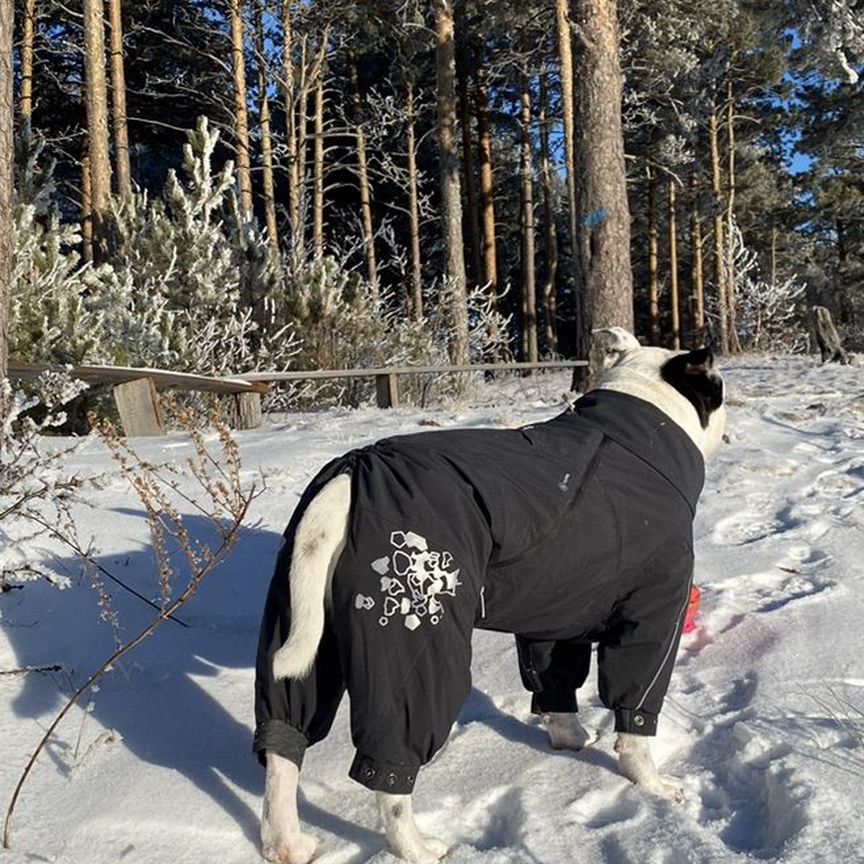 Комбинезон Hurtta Extreme Overall