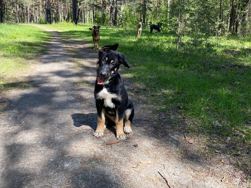 Мальчуган 3-4 месяца ищет дом