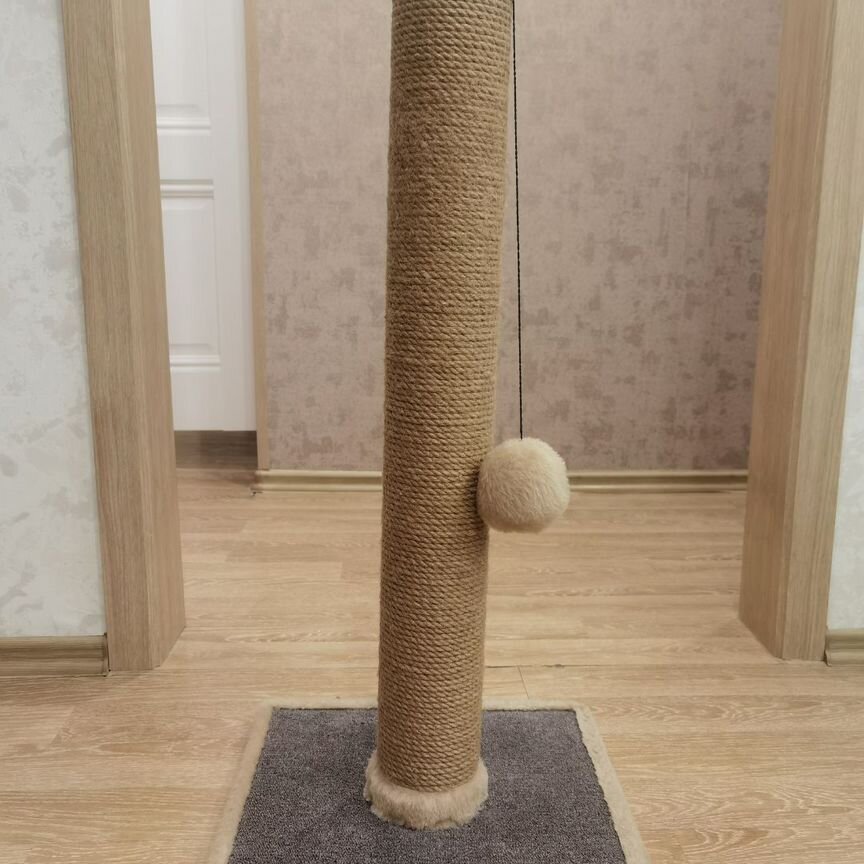 Когтеточка