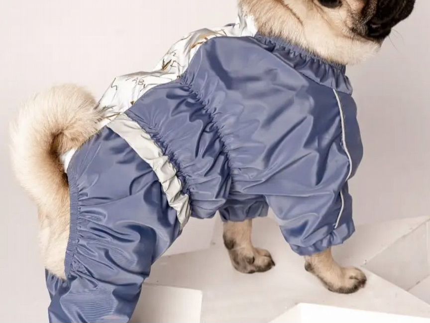 Одежда для собак,дождевик для мопс