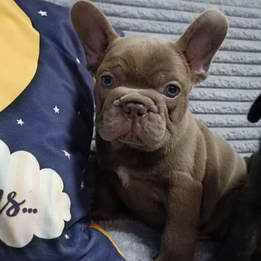 Сладкие булочки с корицей Изабелла