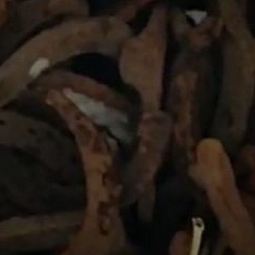 Подковы лошадиные заострённые