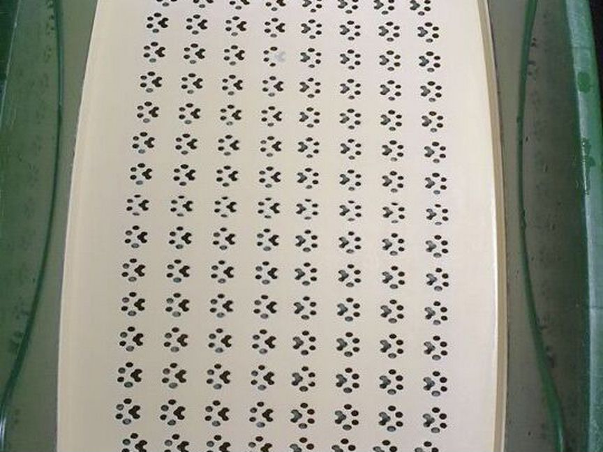 Туалет для кошки