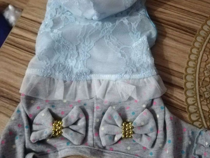Одежда для маленьких собак