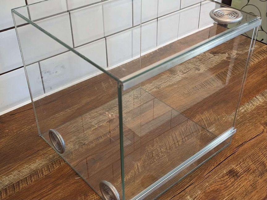 Террариум, паучатники и оформление