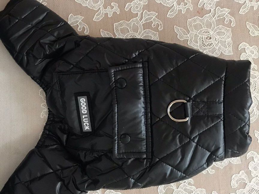 Комбинезон демисезонный для четвероногого друга