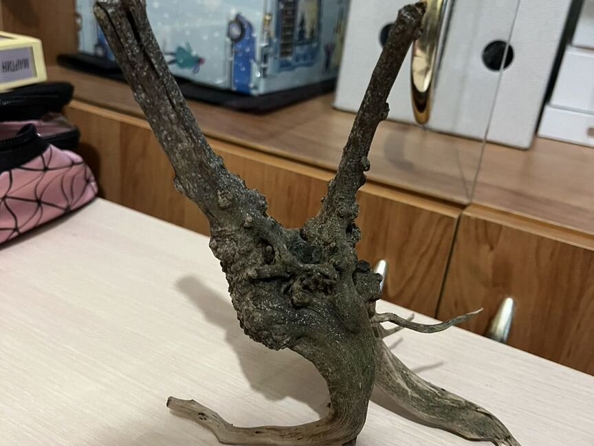 Коряги, растения, камни, лампа и др. для аквариума