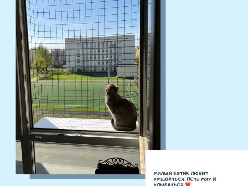 Антикошка балкон, кошачий балкончик, выгул на окно