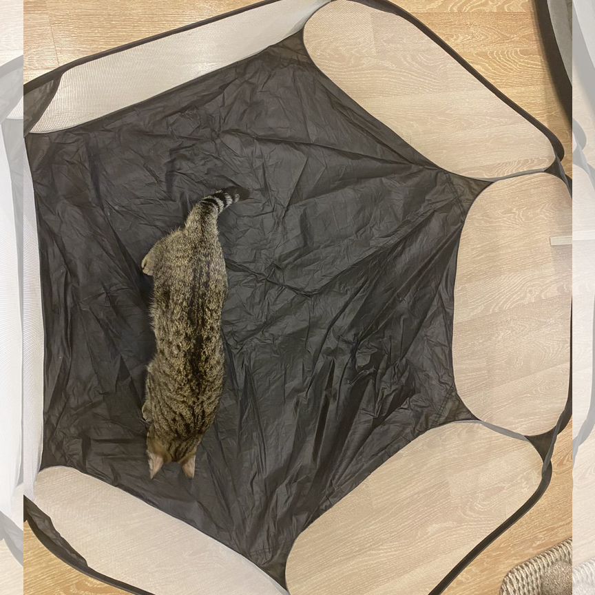 Манеж для мелких животных