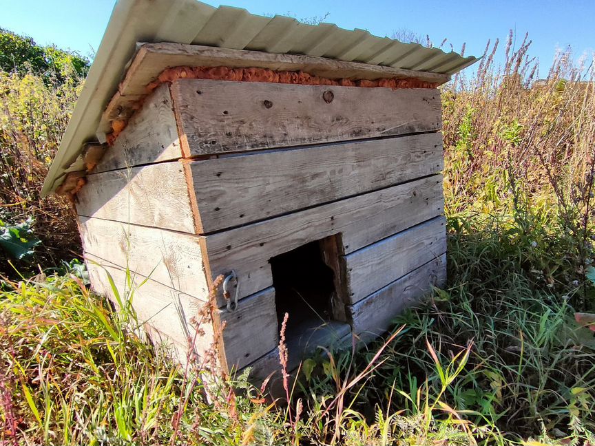 Собачья будка с двойной стеной