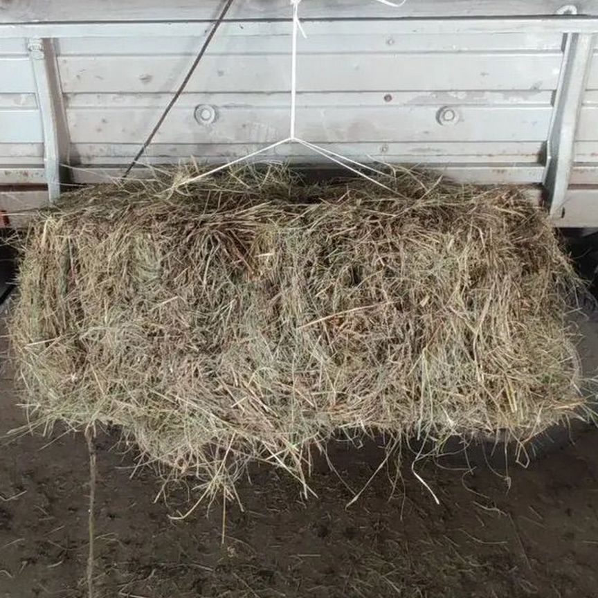 Сено в тюках