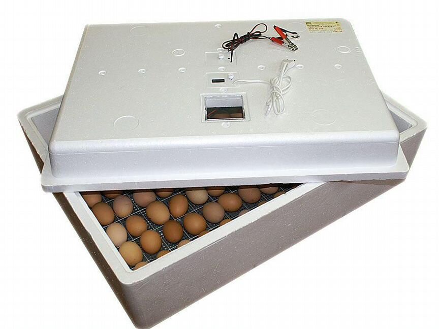 Инкубатор для яиц