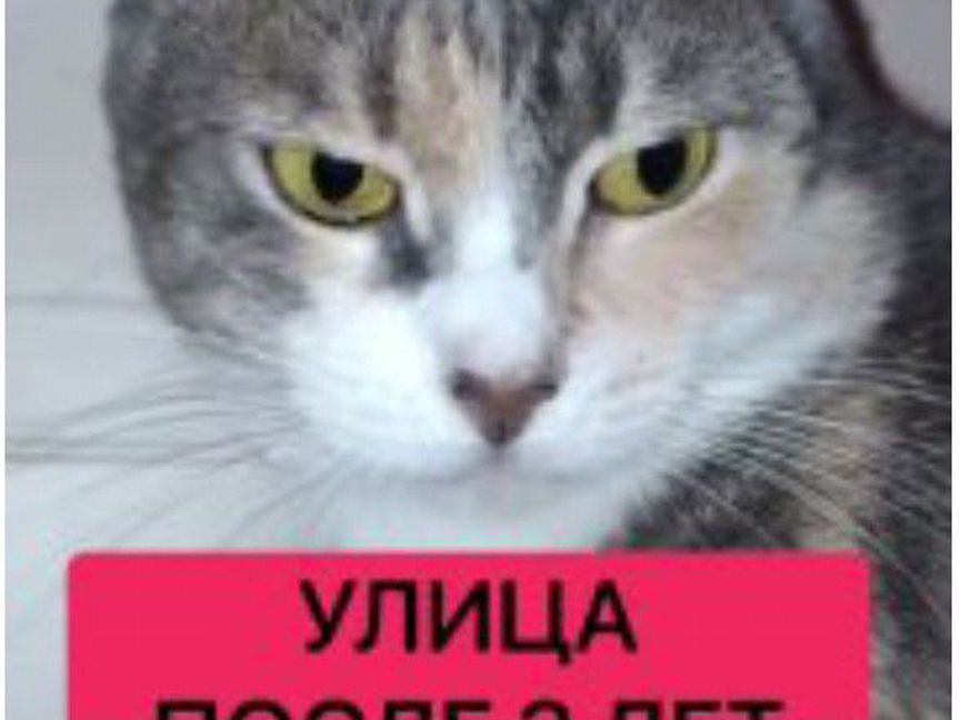 Супер
