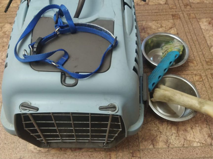 Переноска Судно Поводки Чашки