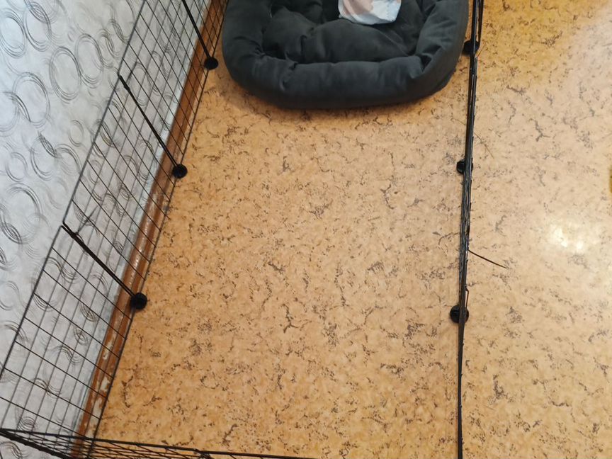 Вольер для собак