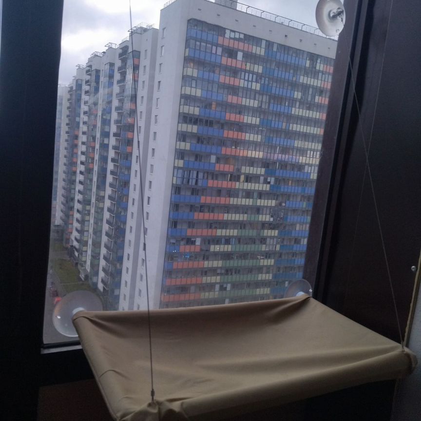Гамак для кошек на окно