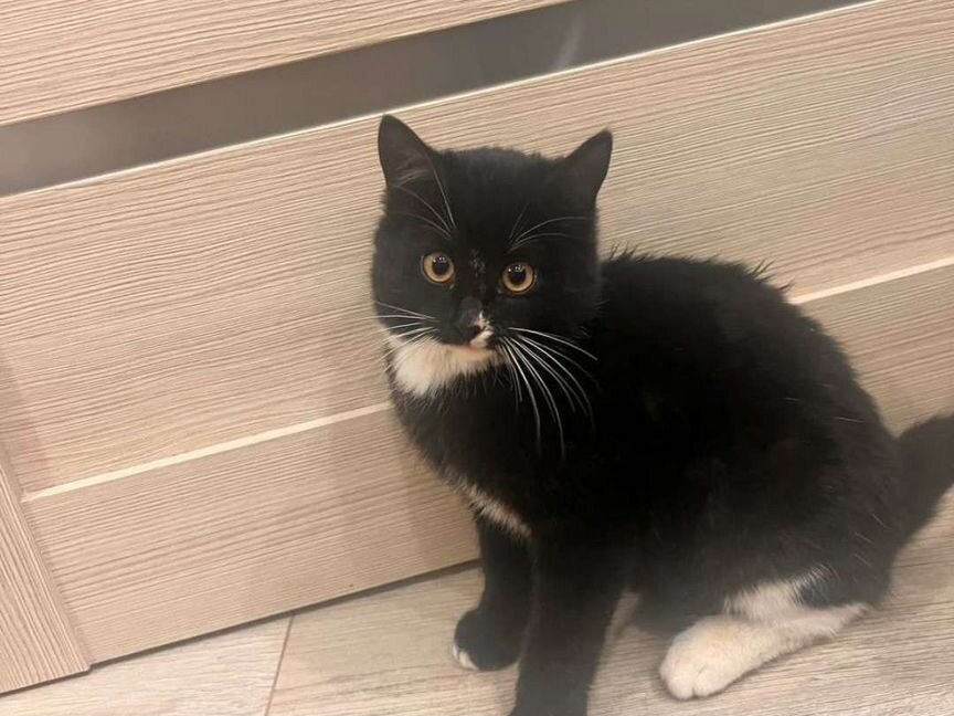 Тепло твоего сердца