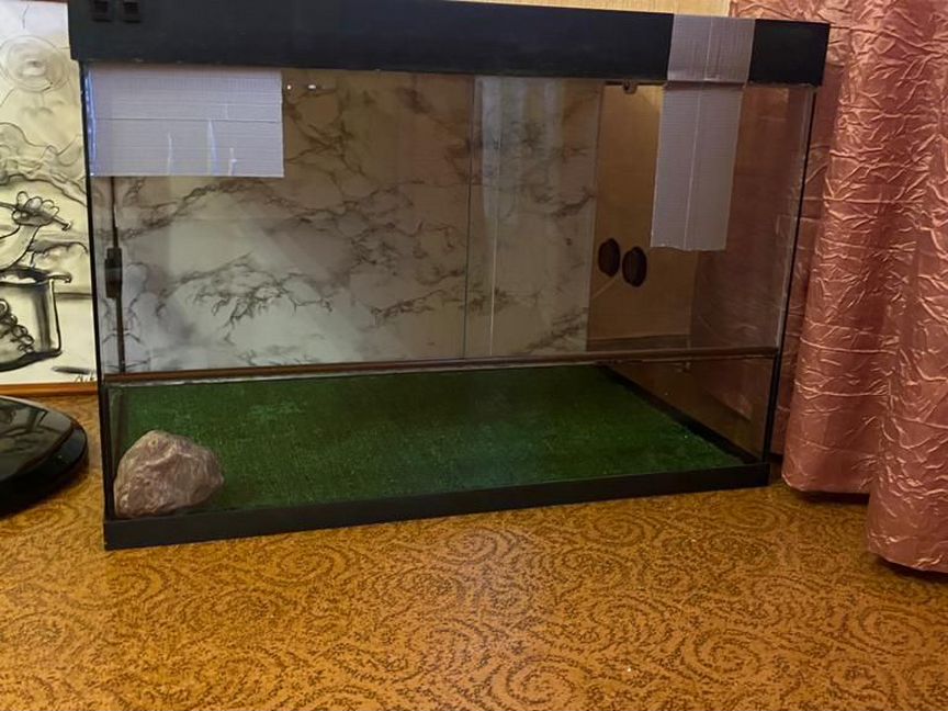 Террариум для змеи