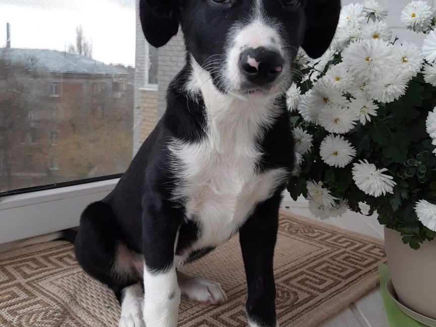 Мальчик Тима ищет семью, отдадим в добрые руки