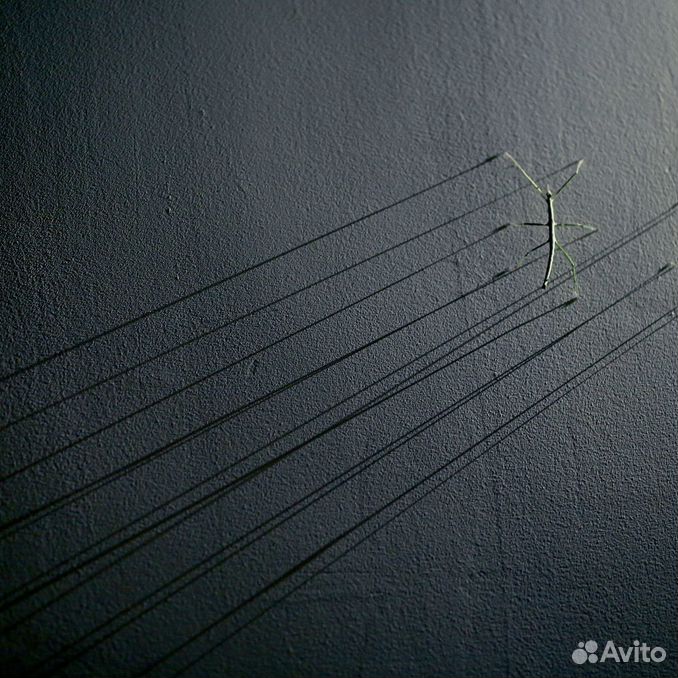 Аннамский палочник (с чувством высокого)