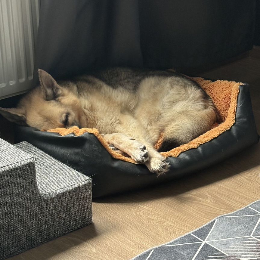 Лежанки б/у