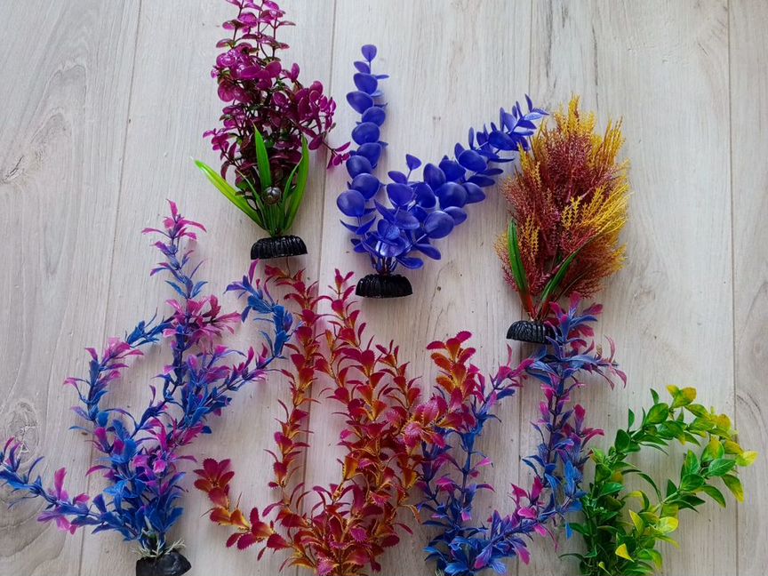 Аквариумные растения, аптечка, сачок