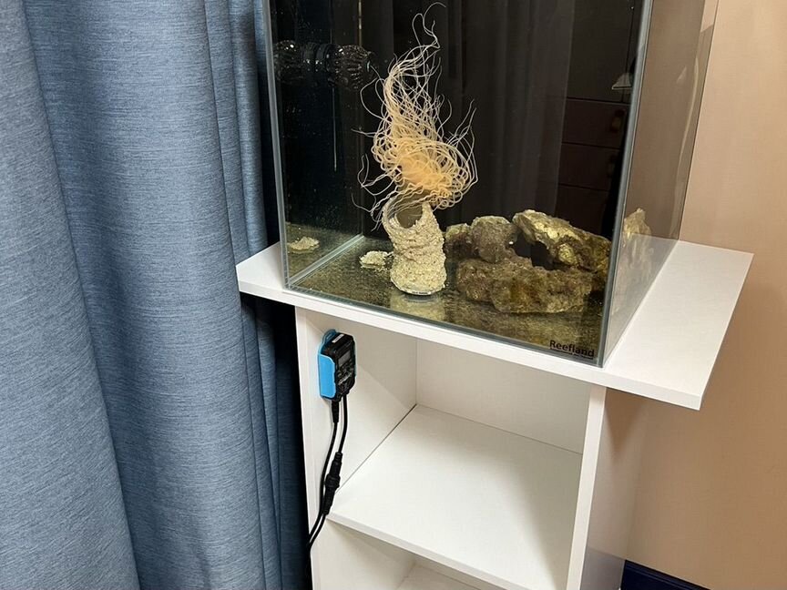 Аквариум с задним сампом