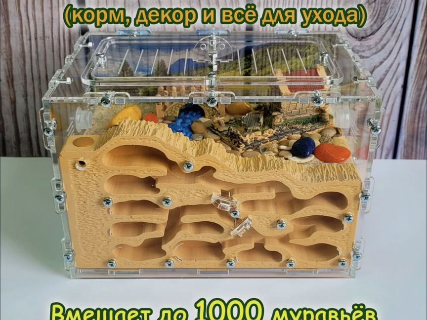 Новая Муравьиная ферма вертикальная