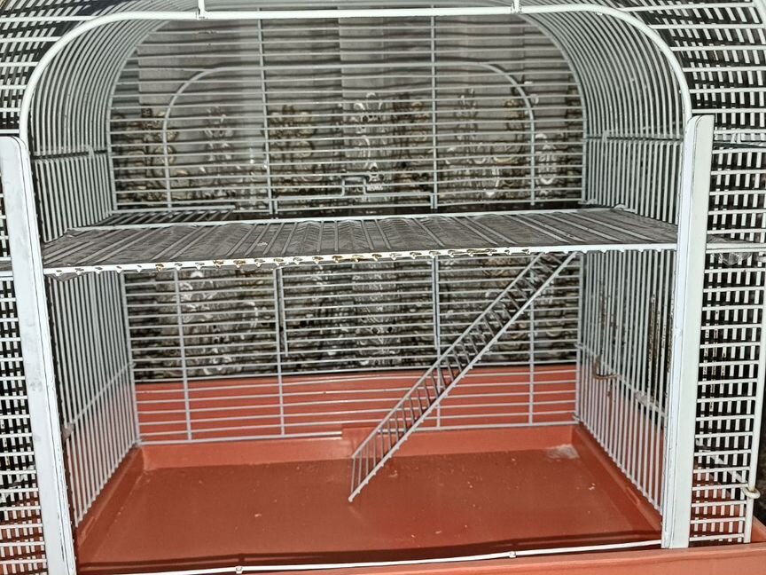 Клетка и другие вещи для животных