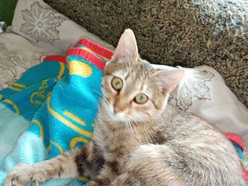 Подобрали долго держать не смогут