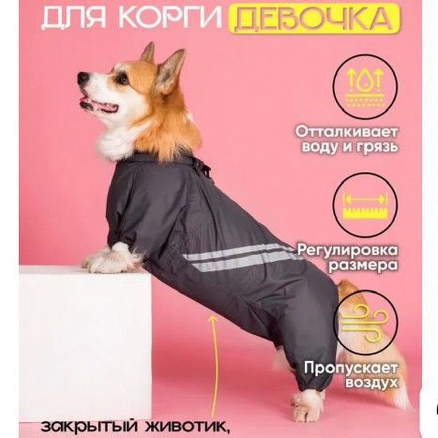 Комбинезон для собаки корги девочки DiploDog