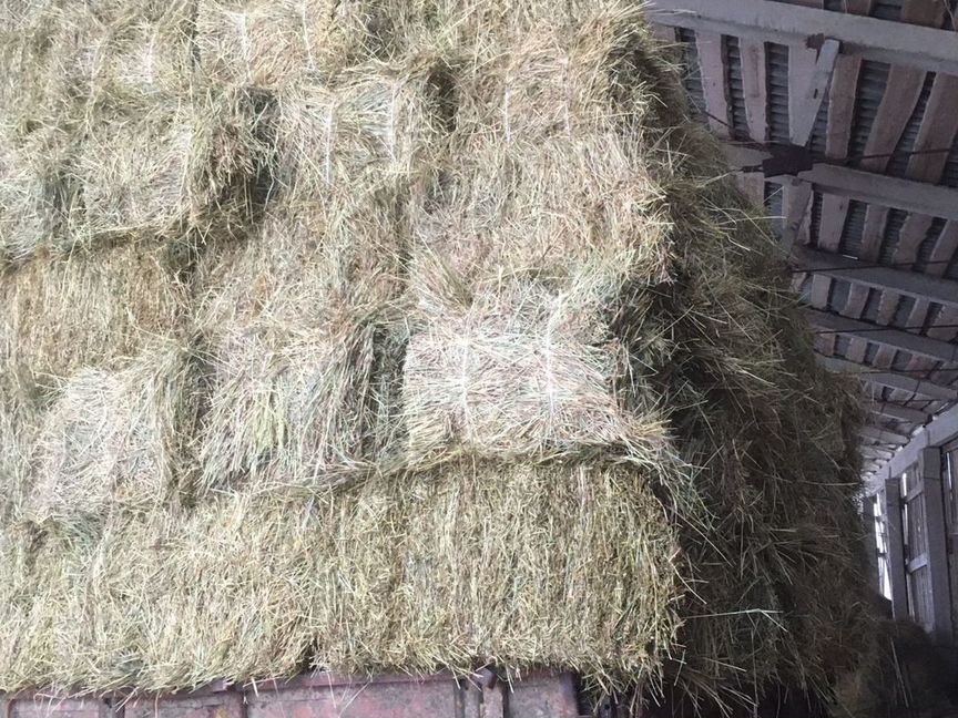 Душистое сено в рулонах, цена включая доставку