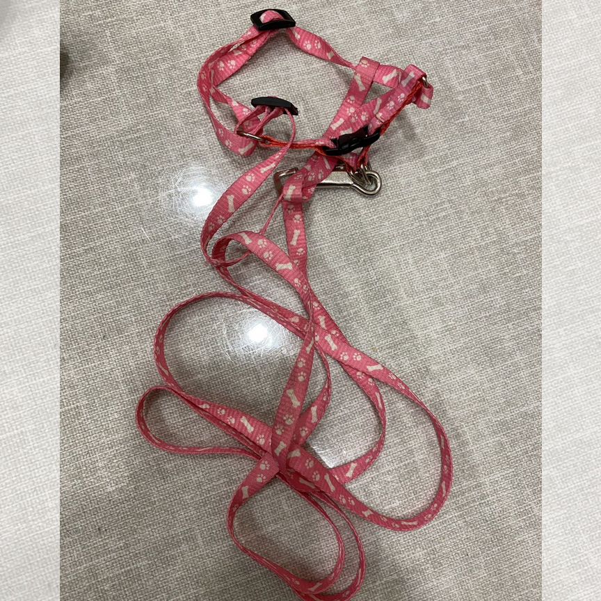 Шлейка для маленькой собаки