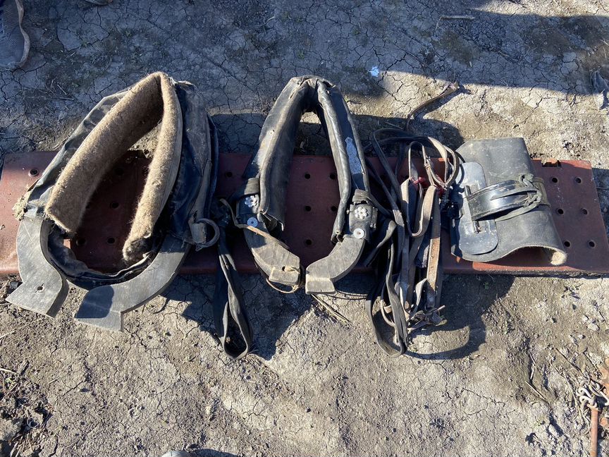 Конная амуниция